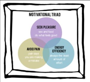 Dietary Success – Visibility & Proximity - Whole Food Plant Based Diet